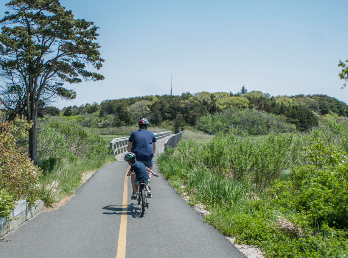 Best Road Biking Routes for Beginners