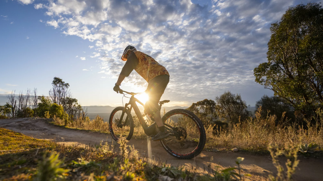 Best Step Through Bicycle: Top Picks for Effortless and Stylish Riding ...