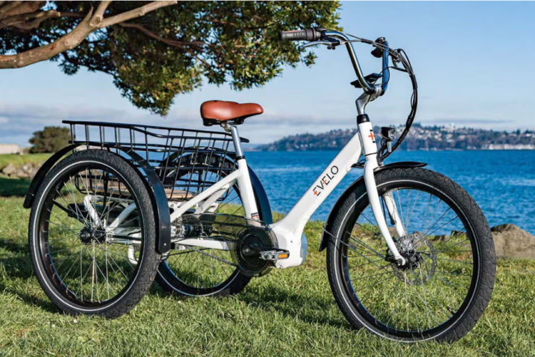 Fastest Electric Trike: Unleash the Speed with Our Top Picks! - Bike ...